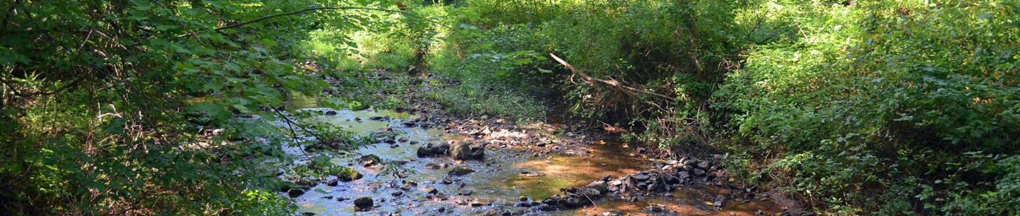 Around Town: Exploring the Great Outdoors - Compass